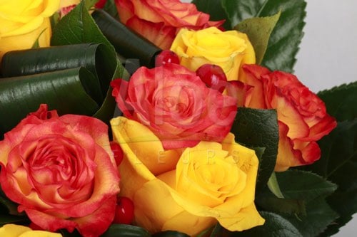 Bouquets de Fleurs collection 2015-2016 en images » ALOE FLEURS