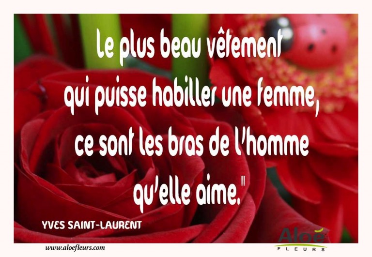 citations d’amour et Saint valentin -Le-plus-beau-vêtement-qui-puisse ...